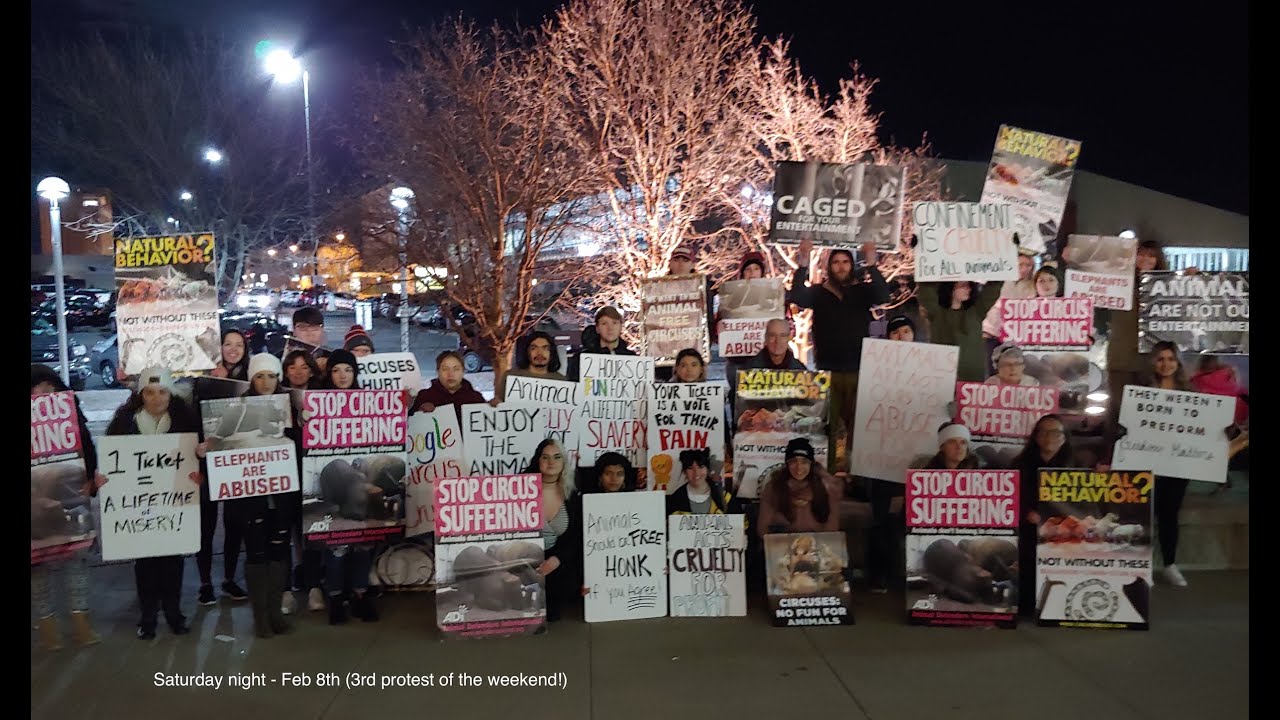 Circus Protests at JQH Arena (Springfield, MO) 2020 - Carden ...
