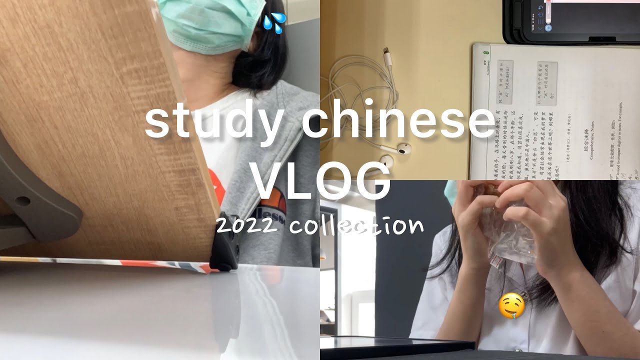study chinese vlog (2022ver) - YouTube
