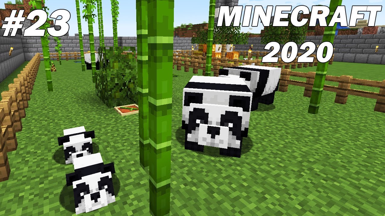 Un enclos pour le panda le plus lent du monde ! Minecraft 2020 EP23 ...