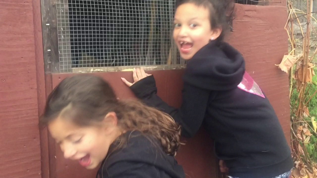 The Spit Nose Clown Girls - YouTube
