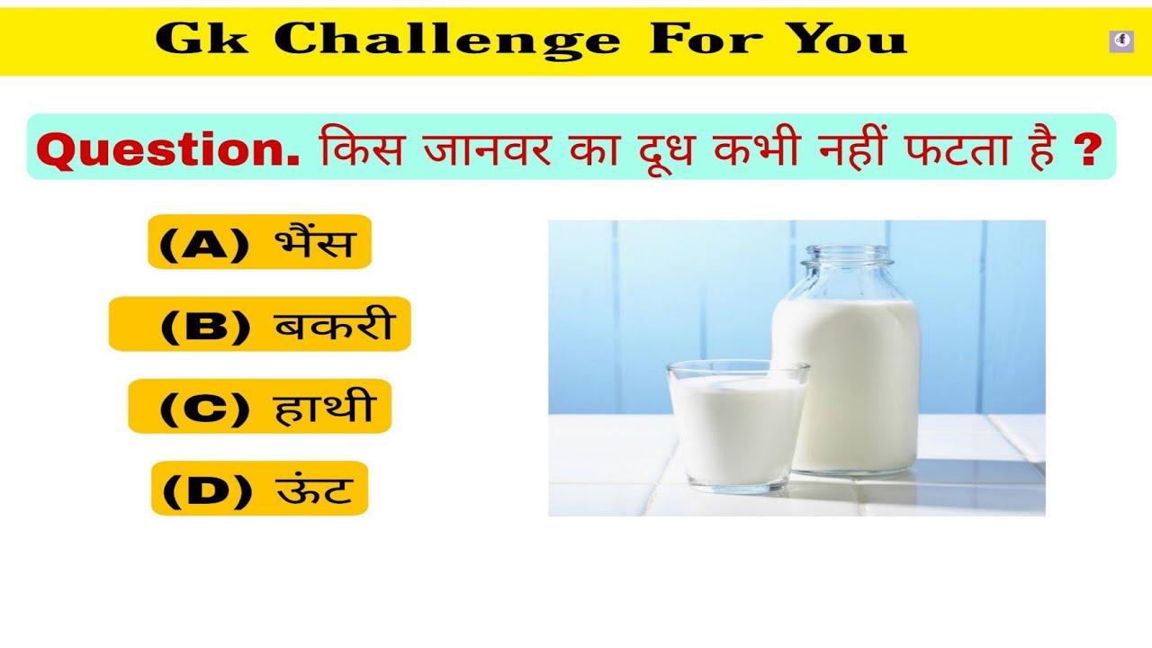 most important questions and answers in hindi|gk quiz|gk mcq|gk ...