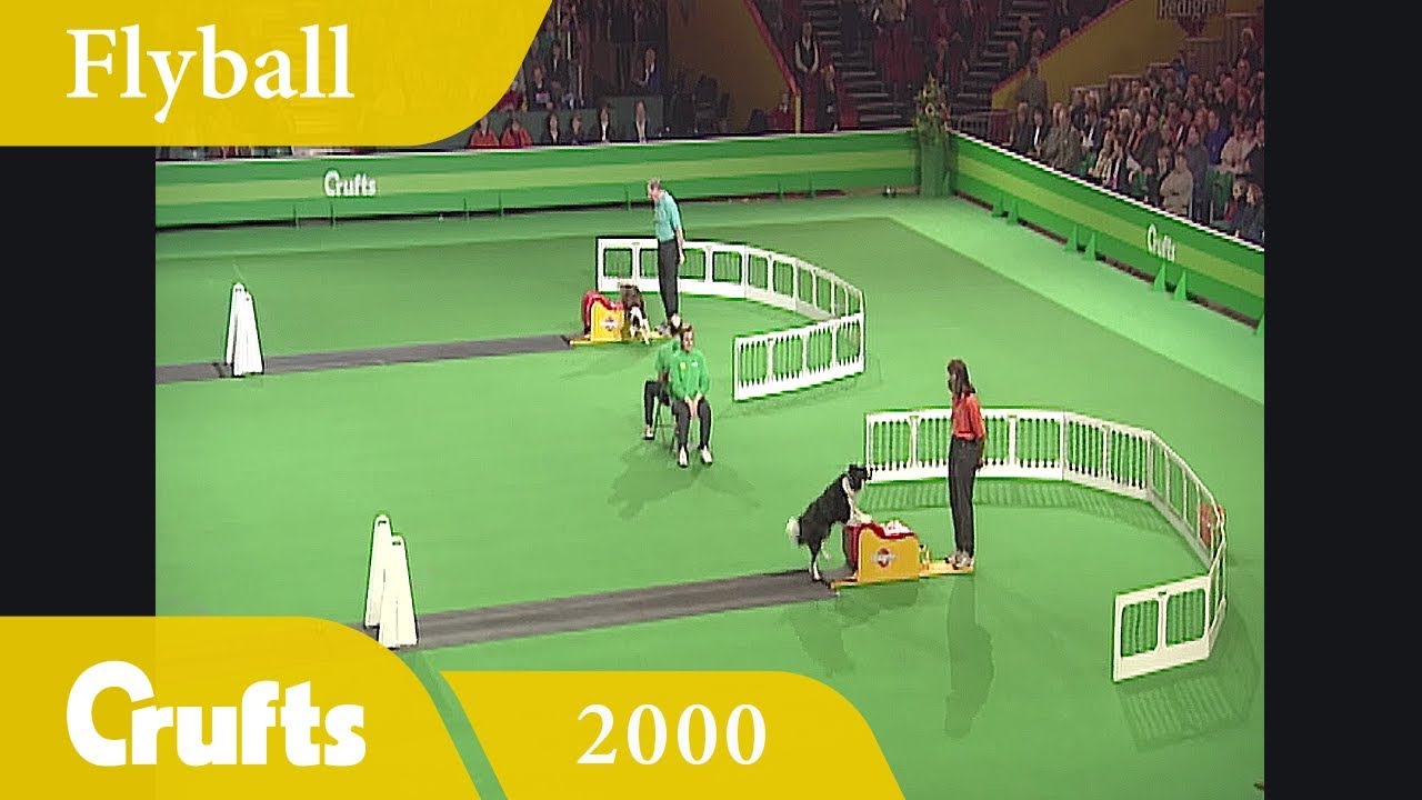 Flyball Final from Crufts 2000 | Crufts Dog Show - YouTube