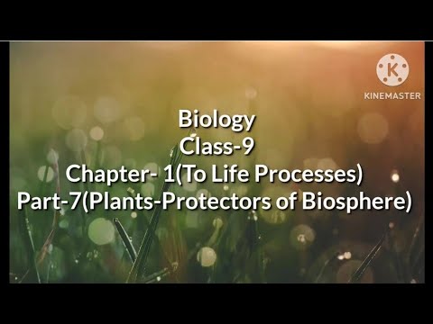 Biology/Class- 9/Chapter-1(To Life Processes) /Part-7(Plants-Protectors ...