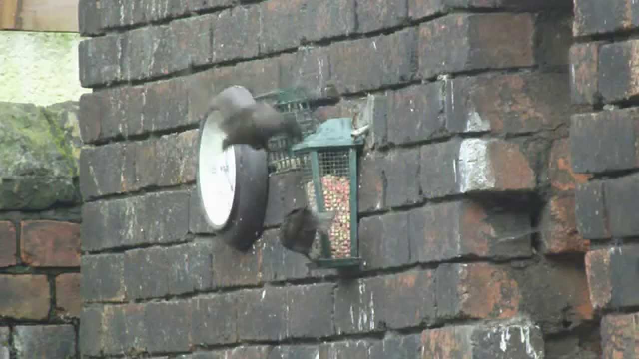 Chained to the Kitchen Sink! - YouTube