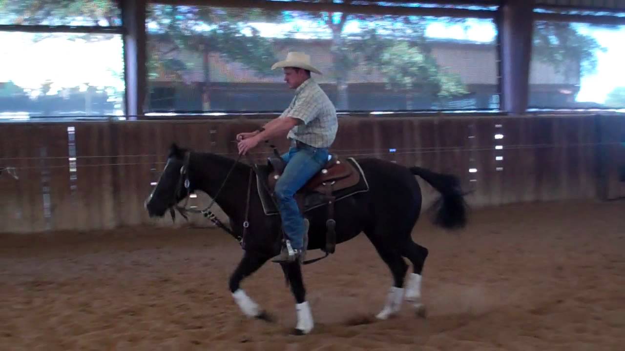 Manion Ranch - Athleta - Smooth As A Cat x Autumn Boon 2 yo filly - YouTube
