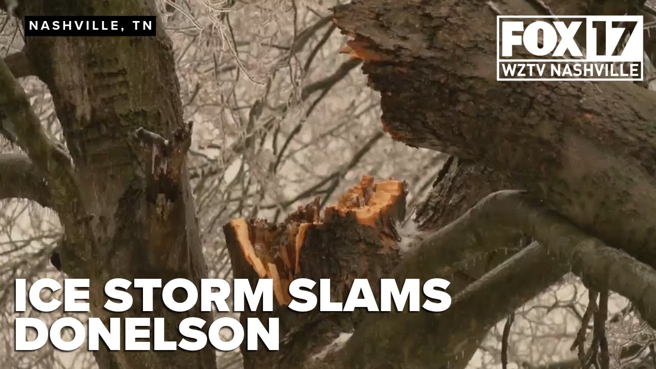 WATCH OUT! Falling trees, power outages leave Donelson neighbors ...
