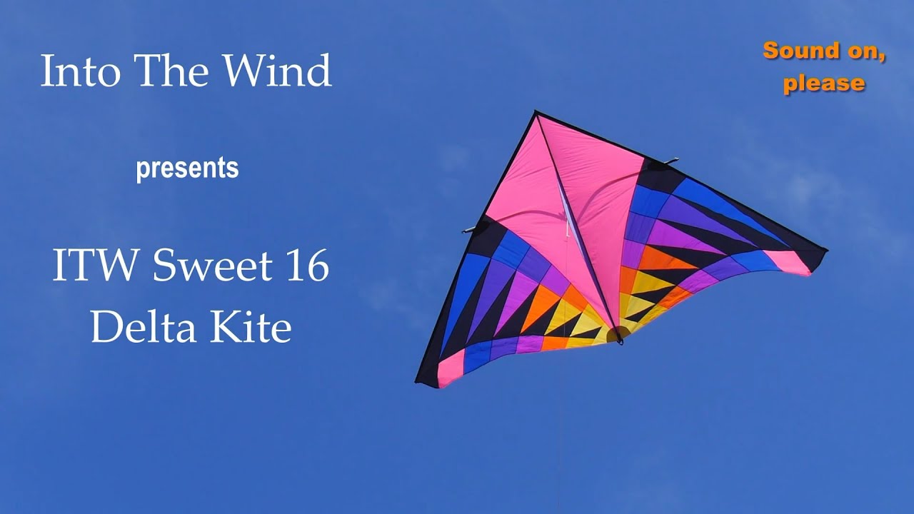 Into The Wind Sweet 16 Delta Kite - YouTube