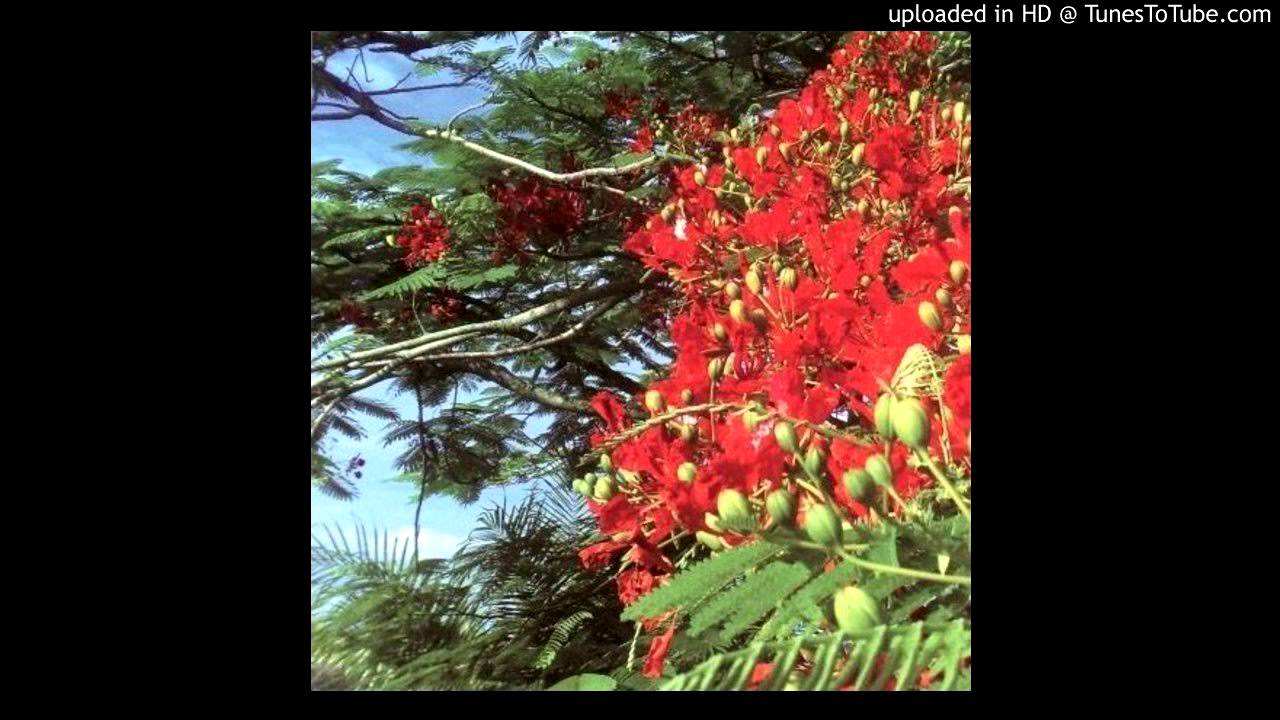 The Aliens - Dove Returning - YouTube