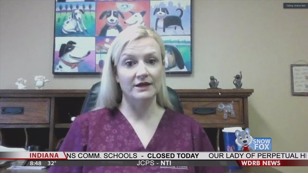 Dr. Emily Bewley provides an update on Ethan the Dog - YouTube