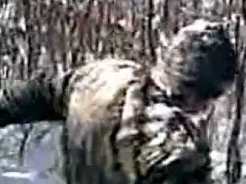 Azerbayacan asgeri murov dagi ali.3gp - YouTube