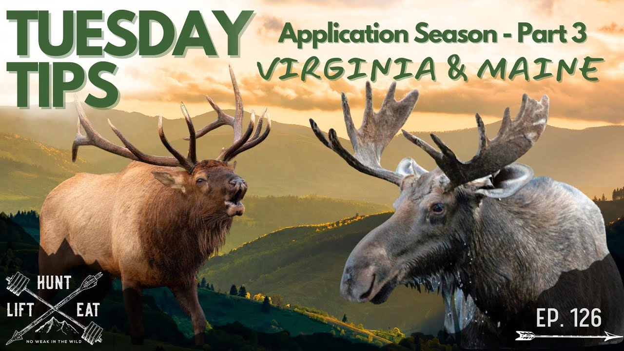 The Hunt Lift Eat Podcast Tuesday Tips EP 126: Virginia Elk & Maine ...