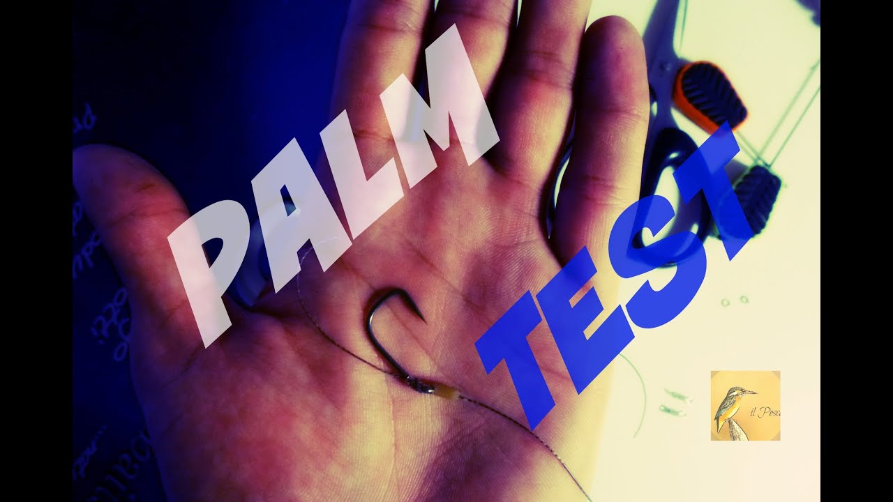 TUTORIAL 2 The palm-test by Edoardo M. Martini - YouTube
