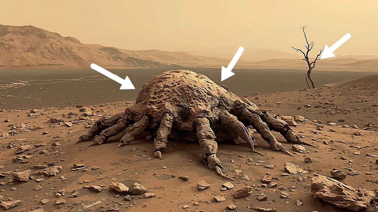 NASA’s Latest Mars Images Exposed - NASA's Newly Released Images Of Red ...