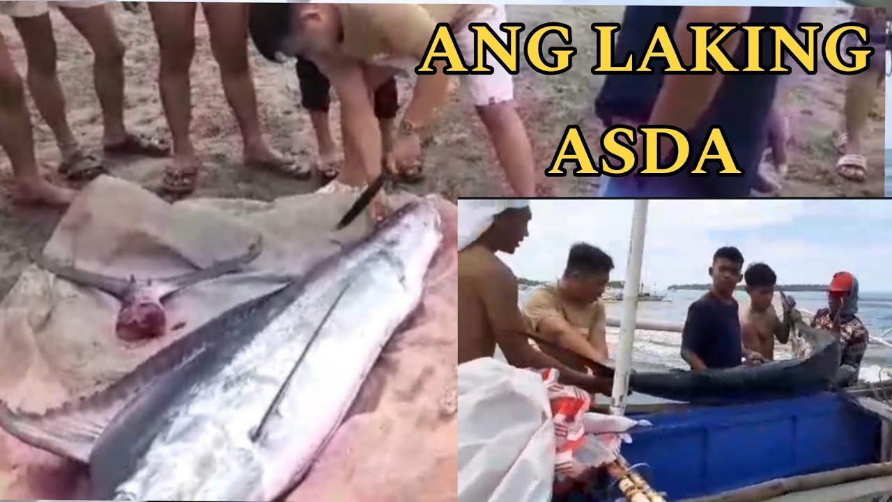 ANG LAKING PANG ULAM NITO - YouTube