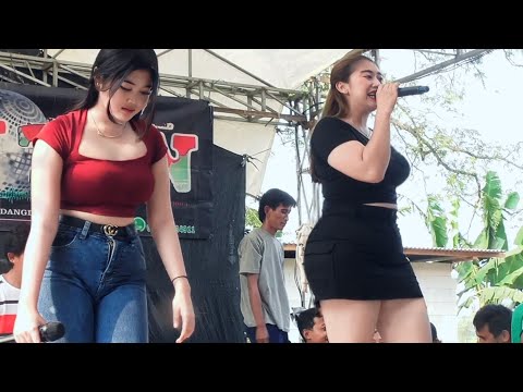Terhanyut dalam kemesraan - Elsa Safira feat Novy Ardilla