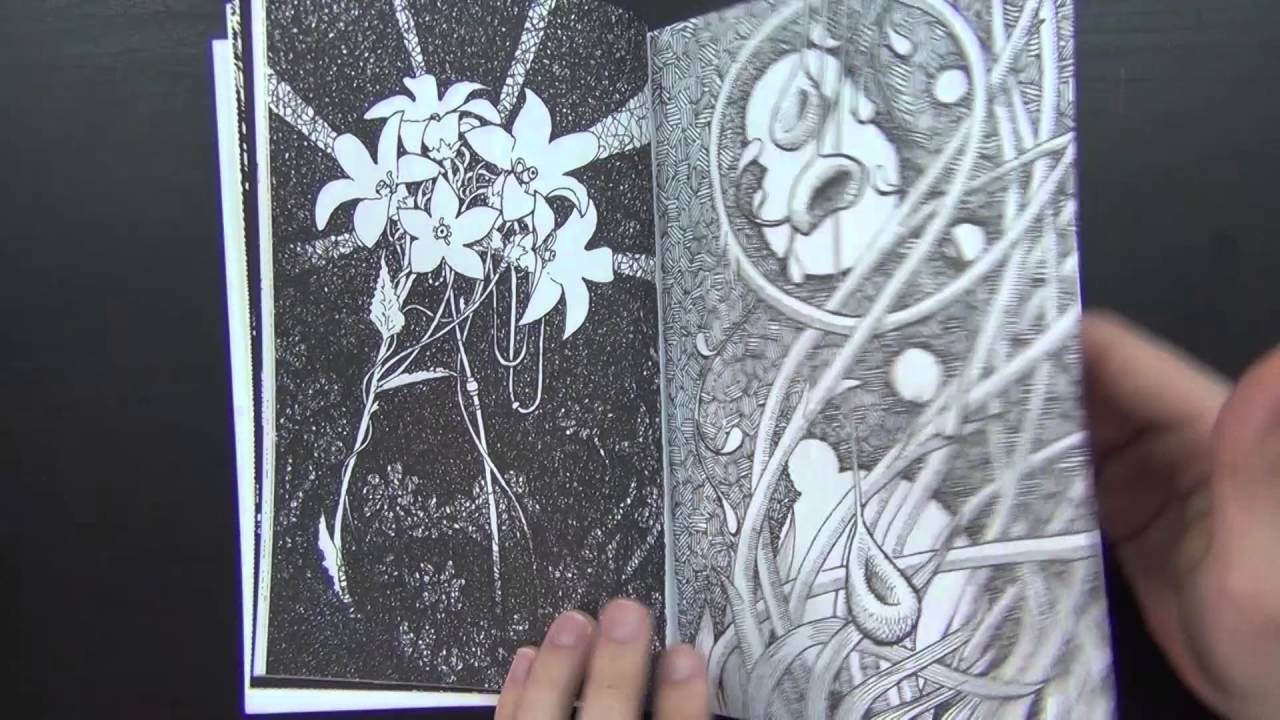 Flipping Through my New Book (Peter's Line Almanac!) - YouTube