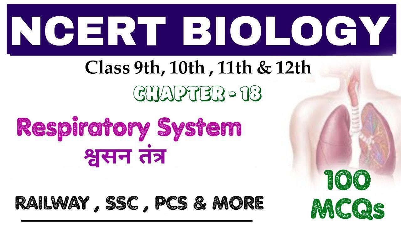 NCERT BIOLOGY : Respiratory System || श्वसन तंत्र || 100+ V.V.I MCQs ...