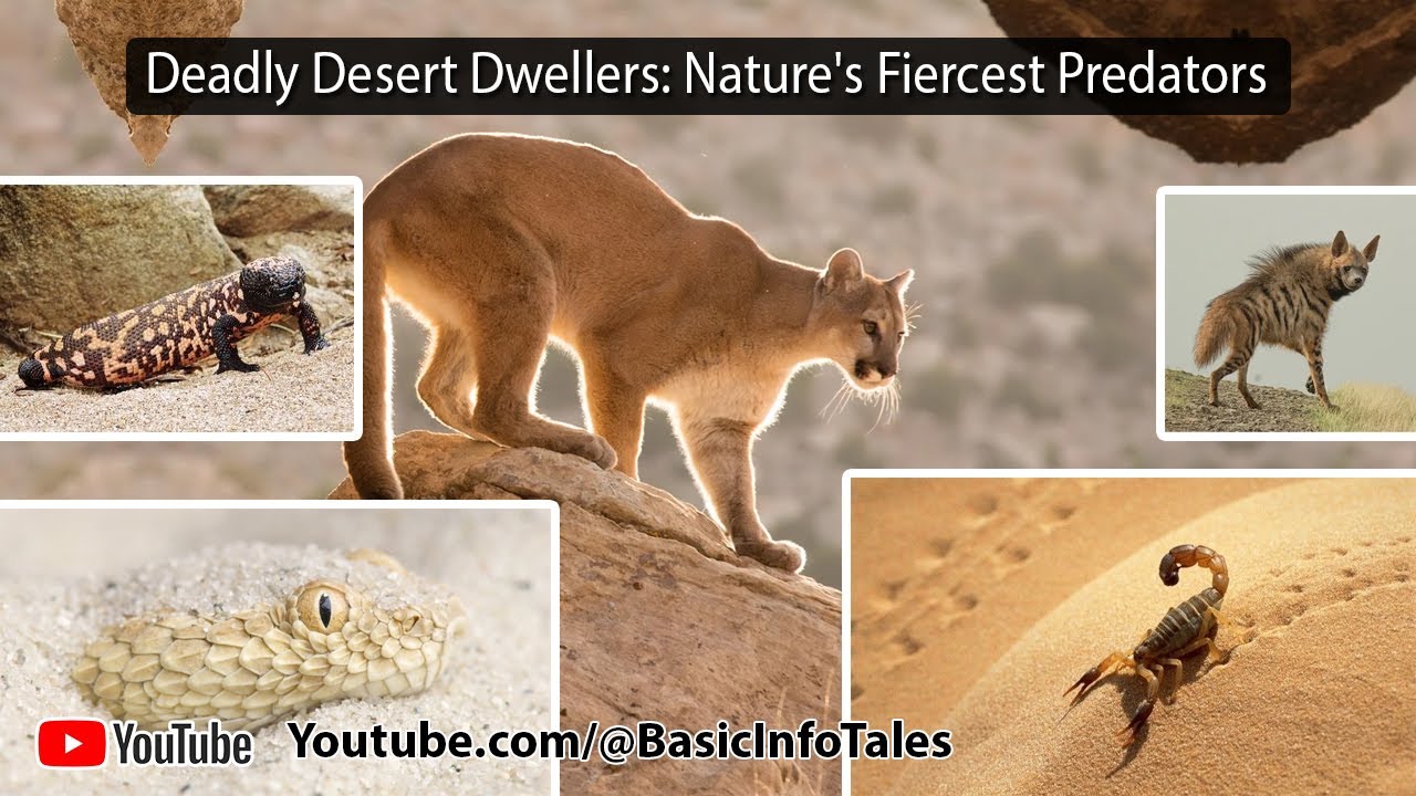 Deadly Desert Dwellers: Nature's Fiercest Predators - YouTube