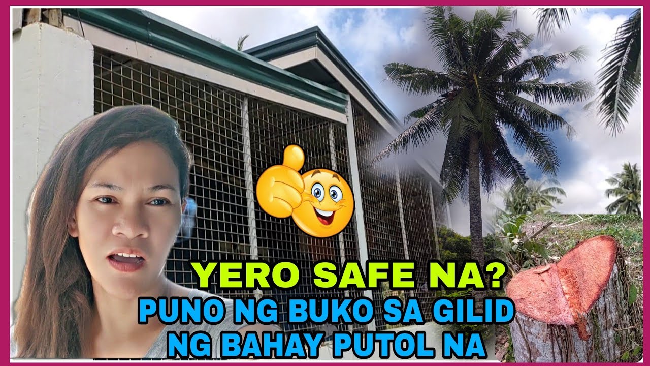 PUNO NG BUKO SA GILID NG BAHAY NAMIN PINA PUTOL! UPDATE SA GARDEN AT ...