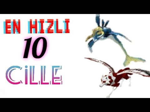 CİLLE EN HIZLI 10 YARATIK