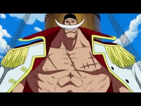THE ONE PIECE! THE ONE PIECE IS REAL!!! One Piece Pirate Warriors 4 ...