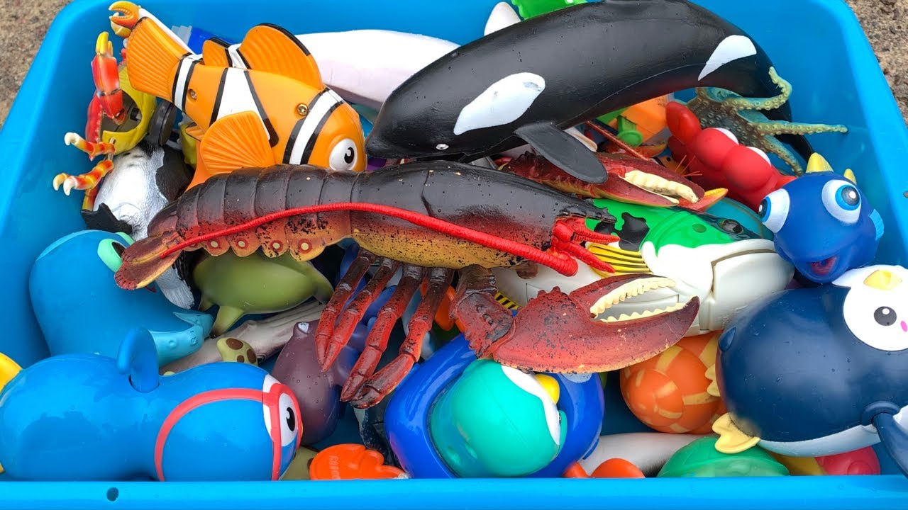 Megan's World is going live! Sea Animal Toys - YouTube