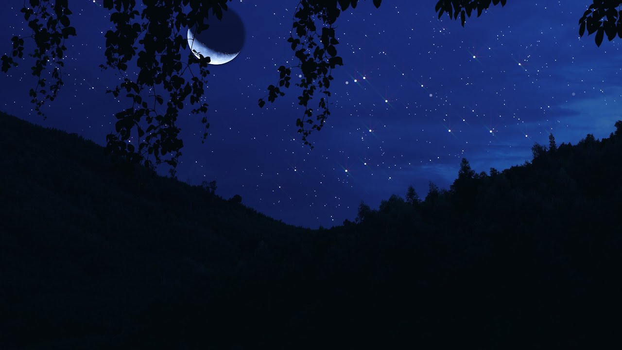 Cricket Conversations | Binaural Nighttime Ambience 10 Hours | The Best ...