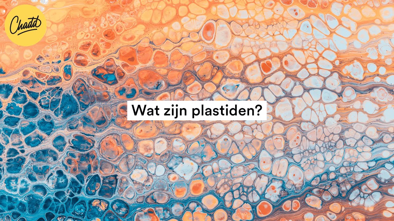 Plantecelle Kloroplastmikroskop Afweersysteem | Biologielessen.nl