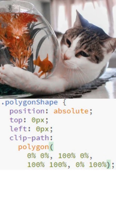 CSS animated polygon view - YouTube