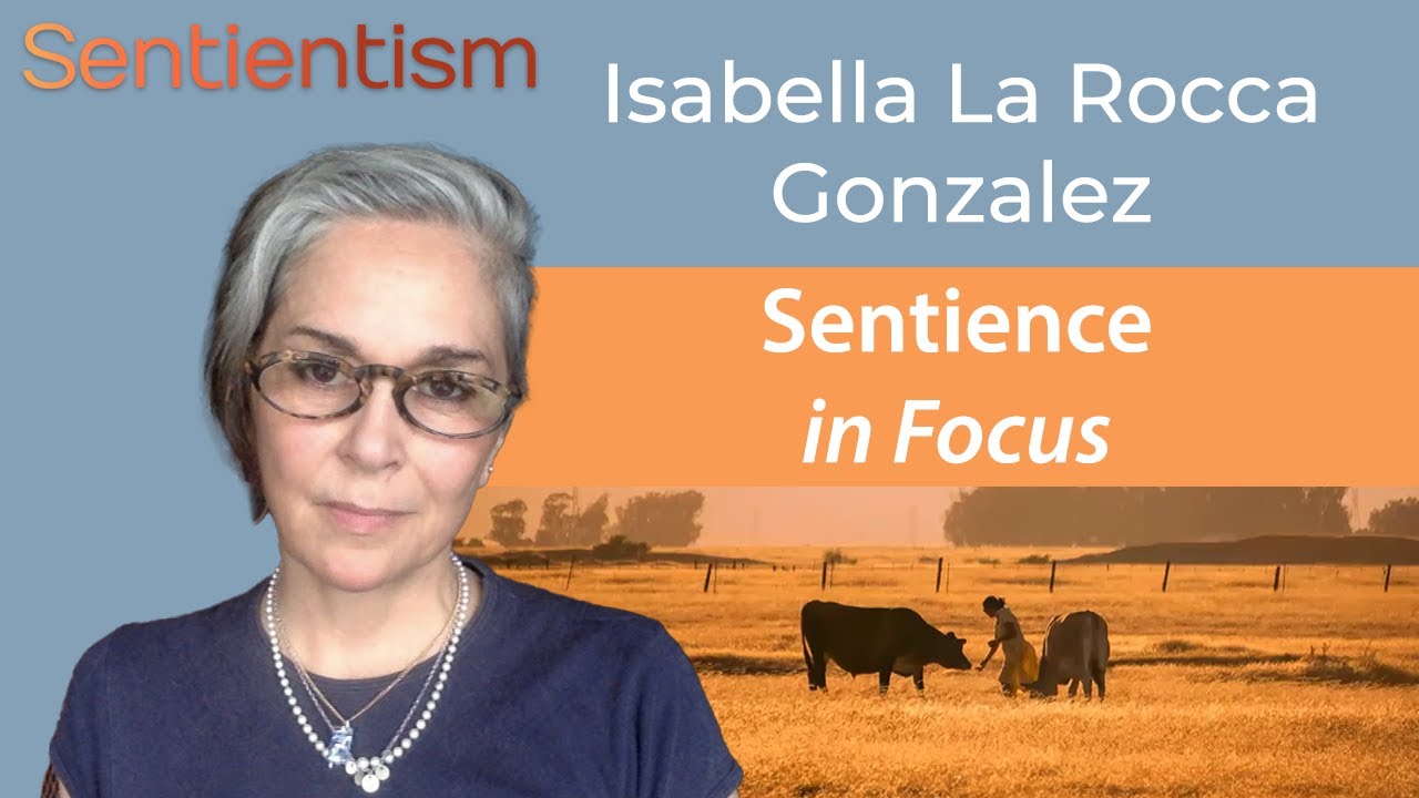 Censored Landscapes - Isabella La Rocca Gonzalez - #sentientism 240 ...
