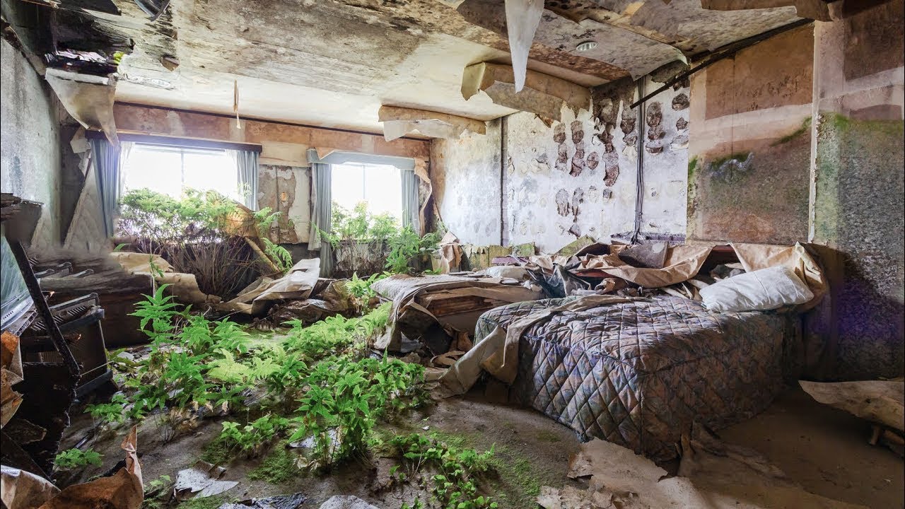 Clean up the dirty yard and old house| DECLUTTERING AND ORGANIZING ...