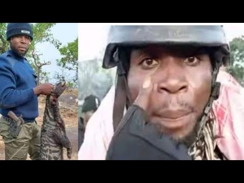 General No Pity resurrects after having declared dead weeks ago - YouTube