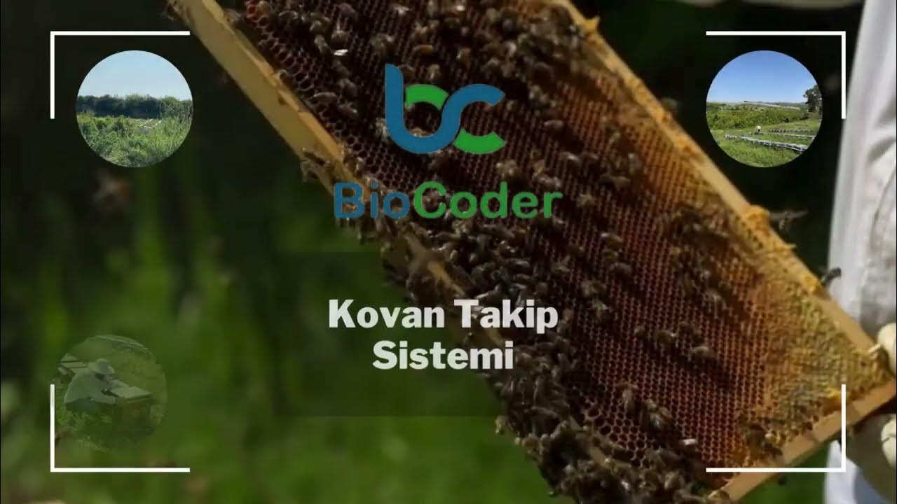 BioCoder Teknoloji Kovan Takip Sistemi - YouTube