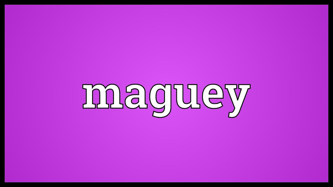 Maguey Meaning - YouTube
