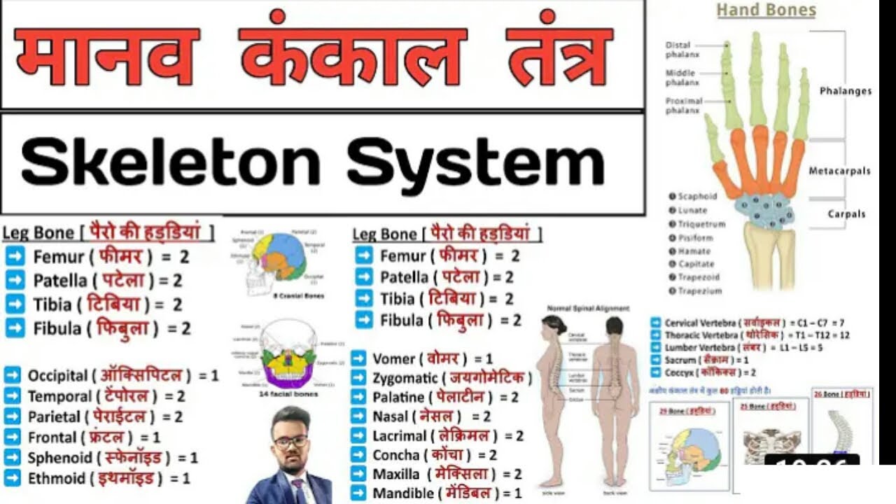 skeleton system। कंकाल तंत्र।Bones। kankal Tantra। biology। Competition ...