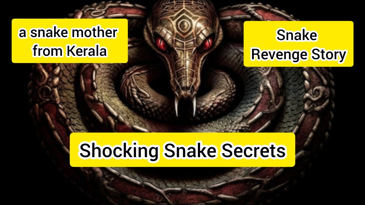 Shocking story of Snake mother from Kerala #ancientindianhistory # ...