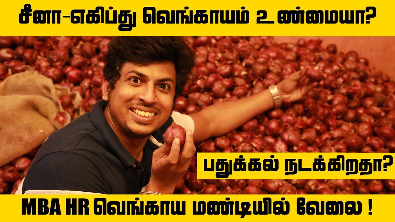 Real Reason For Onion Price Hike In India Egypt China Onion Economy real-reason-for-onion-price-hike-in-india-egypt-china-onion-economy