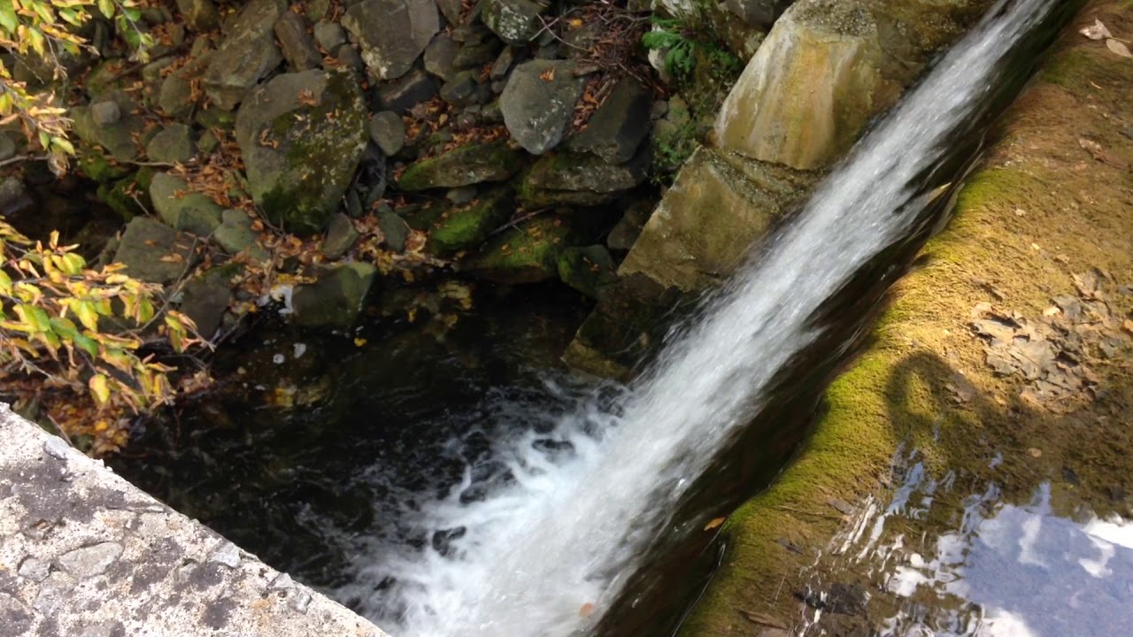 water rushing over the dam at Eva's Pond - YouTube