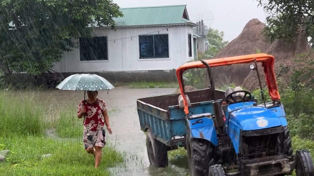 Monsoon Heavy Rain Badly Affects this Rural Village-Walking through the ...