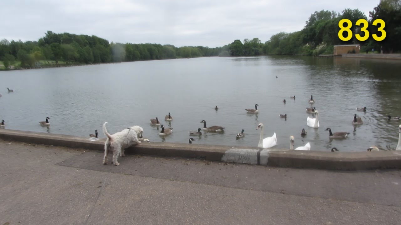 LANGOLD COUNTRY PARK [Vlog 833] - YouTube