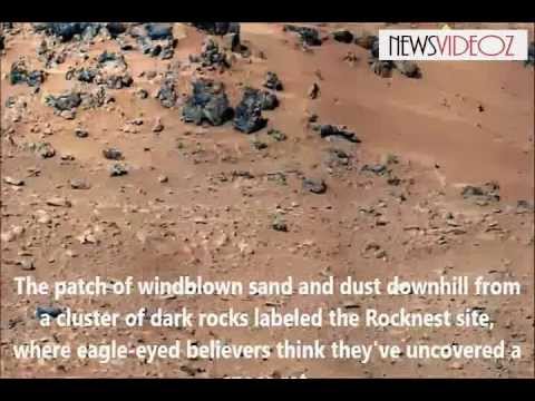 'Mars Rat' Taking Internet by Storm - YouTube