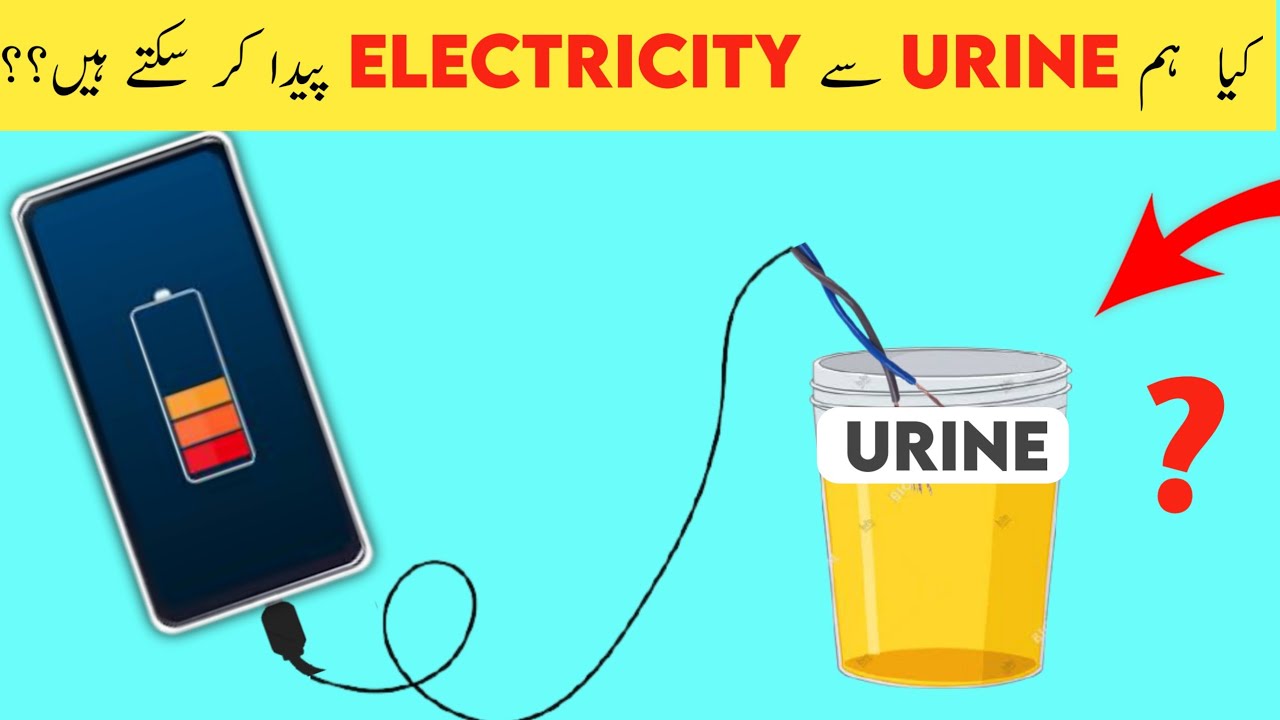 Can We Generate Electricity From Urine? |Most amazing facts |Uncounted ...