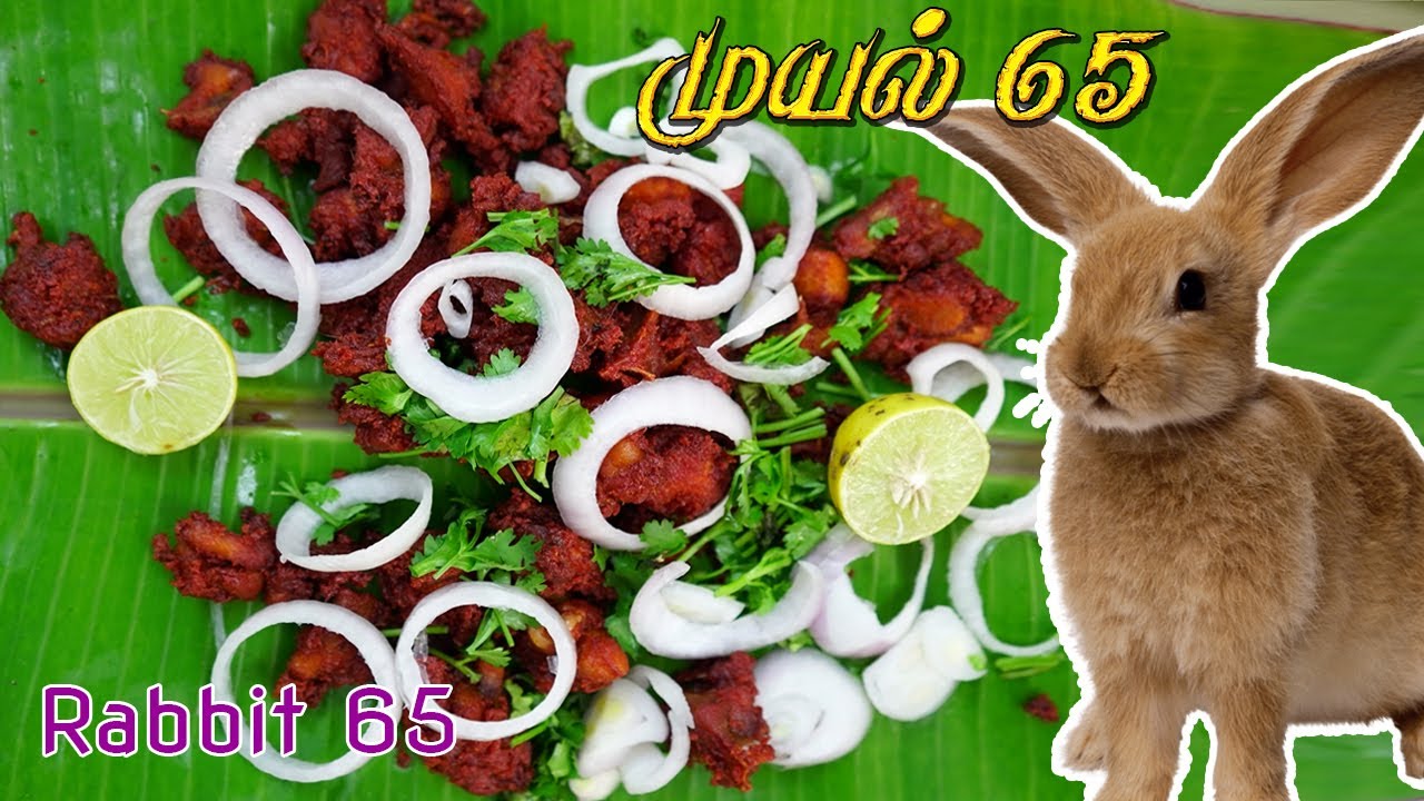 rabbit 65 TN55 village cooking channel muyal 65 - YouTube