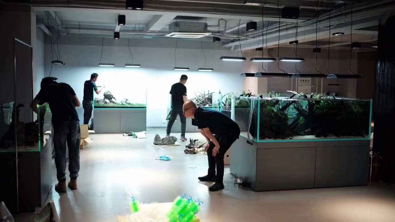 ADA China - Grand opening - YouTube