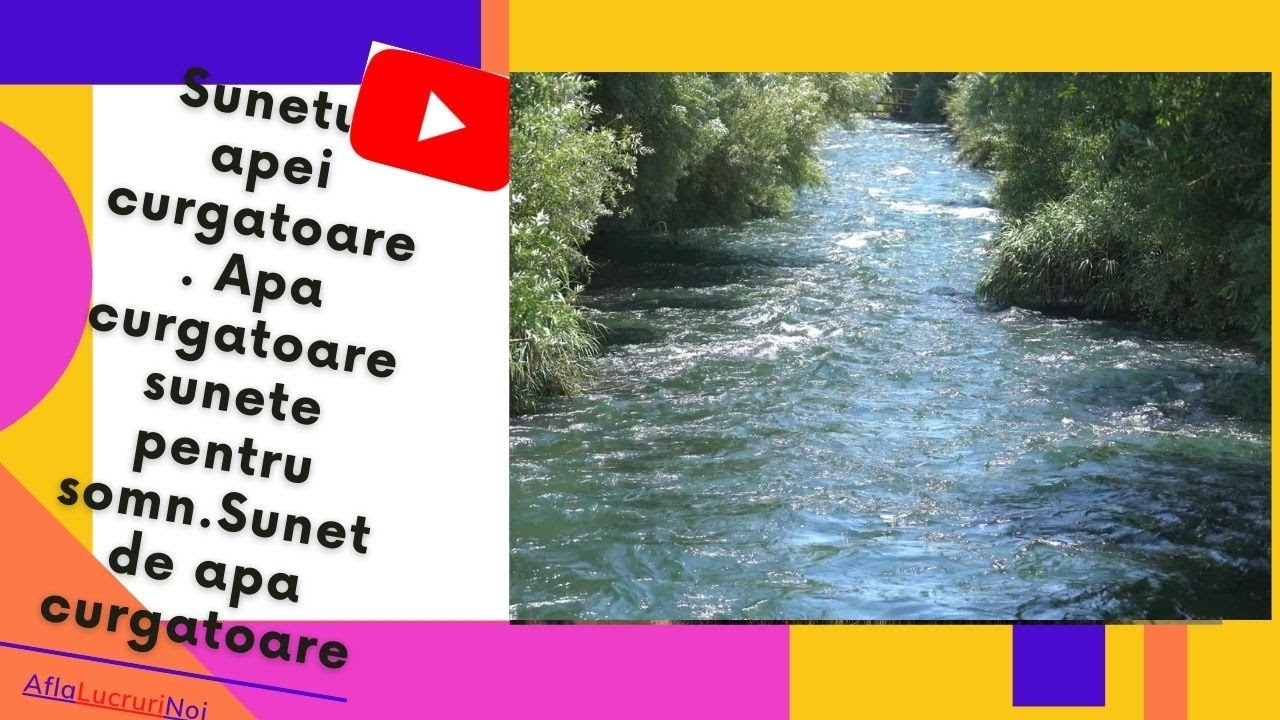 Sunet de apa curgatoare 🌊.Sunetul apei curgatoare in padure cu ciripit ...