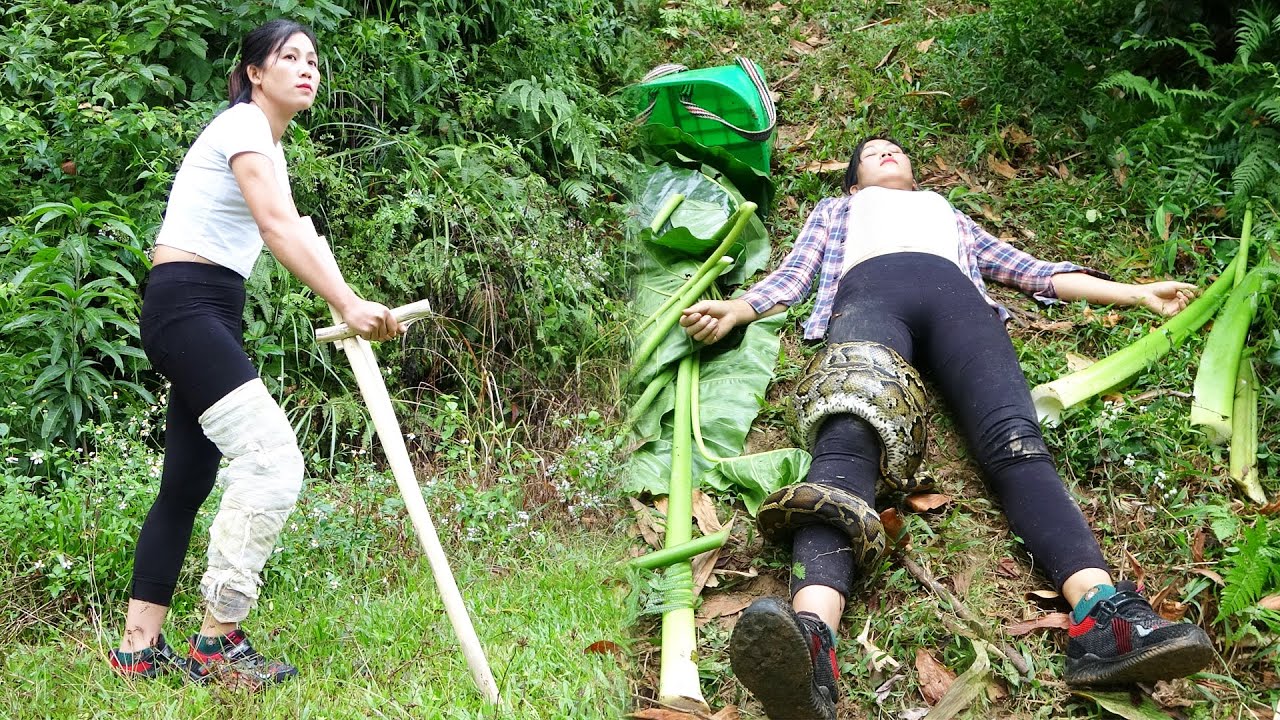 Luckily survived being attacked by biggest python, Self-treat python ...