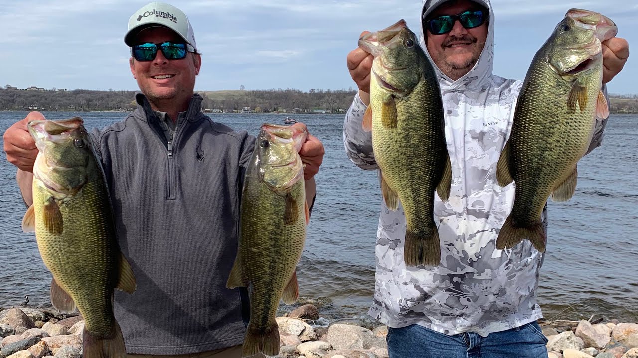 Big Stone Lake Largemouth Bass (Pre-Spawn Fishing Patterns for Big Bass ...