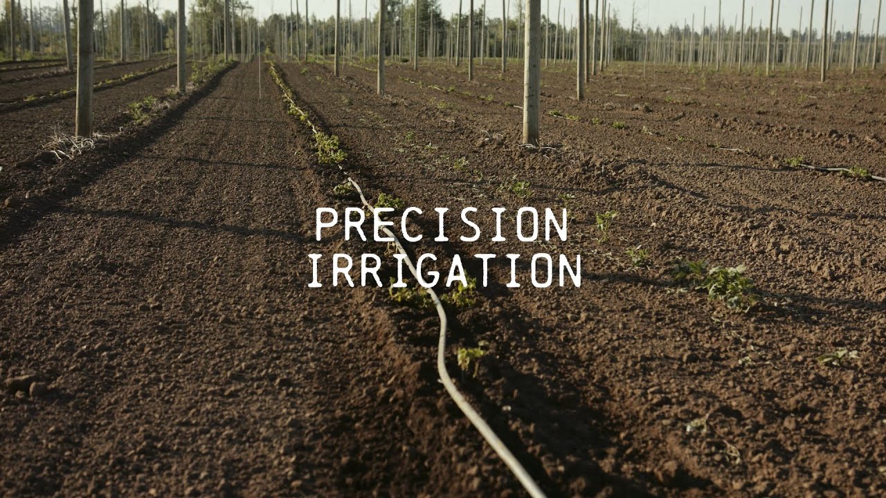 Precision Irrigation - YouTube