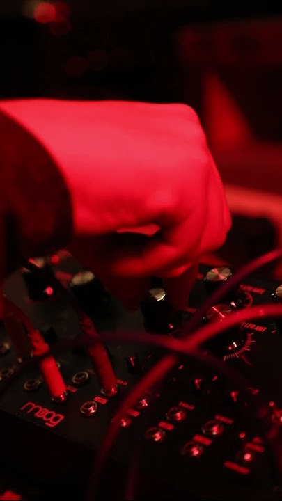 Moog Spectravox Semi Modular Analog Spectral Processor Youtube