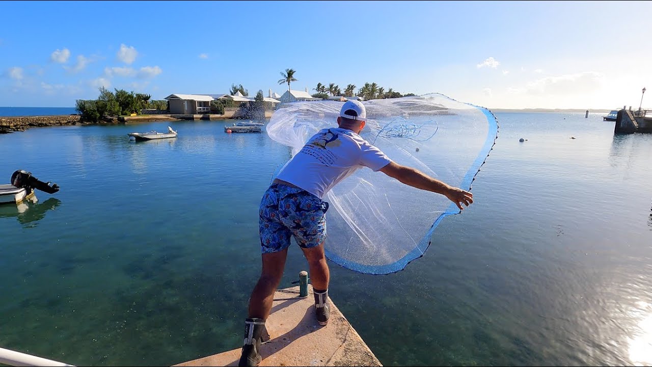 HOW TO CATCH BAIT WITH A CAST-NET (+how to store fresh bait) | BERMUDA ...